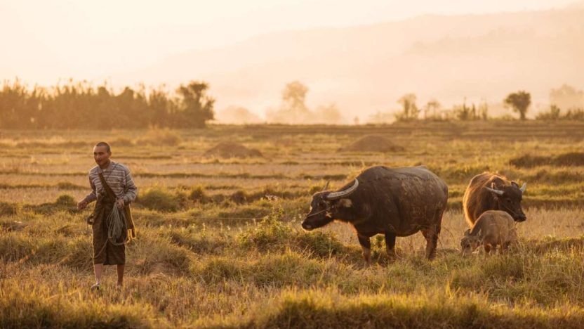 Washington Native American Tribes: History, Culture, and Modern Life